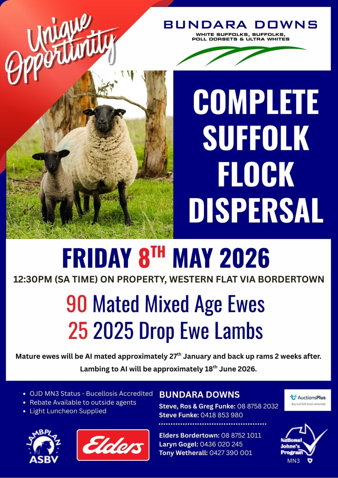 Bundara Downs - Suffolk Dispersal